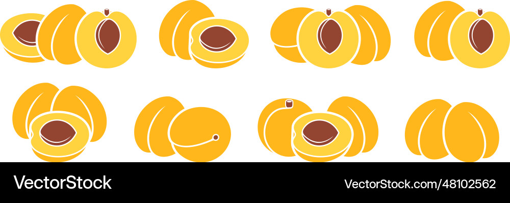 Apricot Royalty Free Vector Image - VectorStock