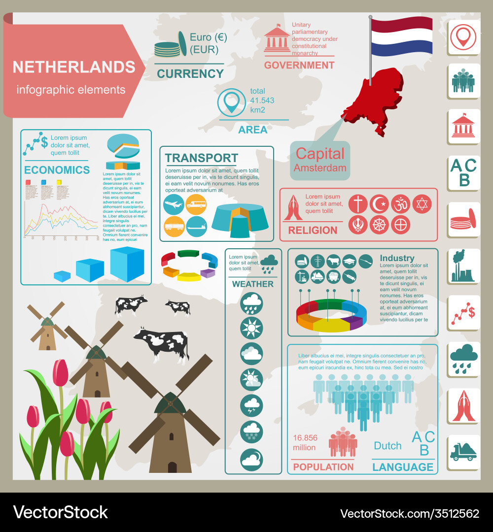 Netherlands infographics statistical data sights Vector Image