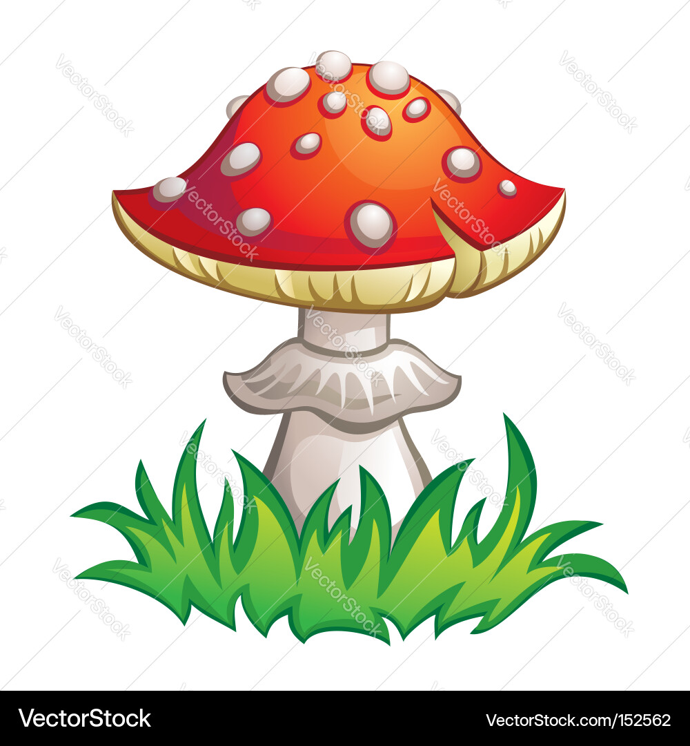 Toadstool Royalty Free Vector Image - VectorStock
