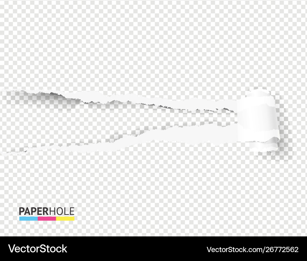 Torn off paper scroll and rip hole blank Vector Image