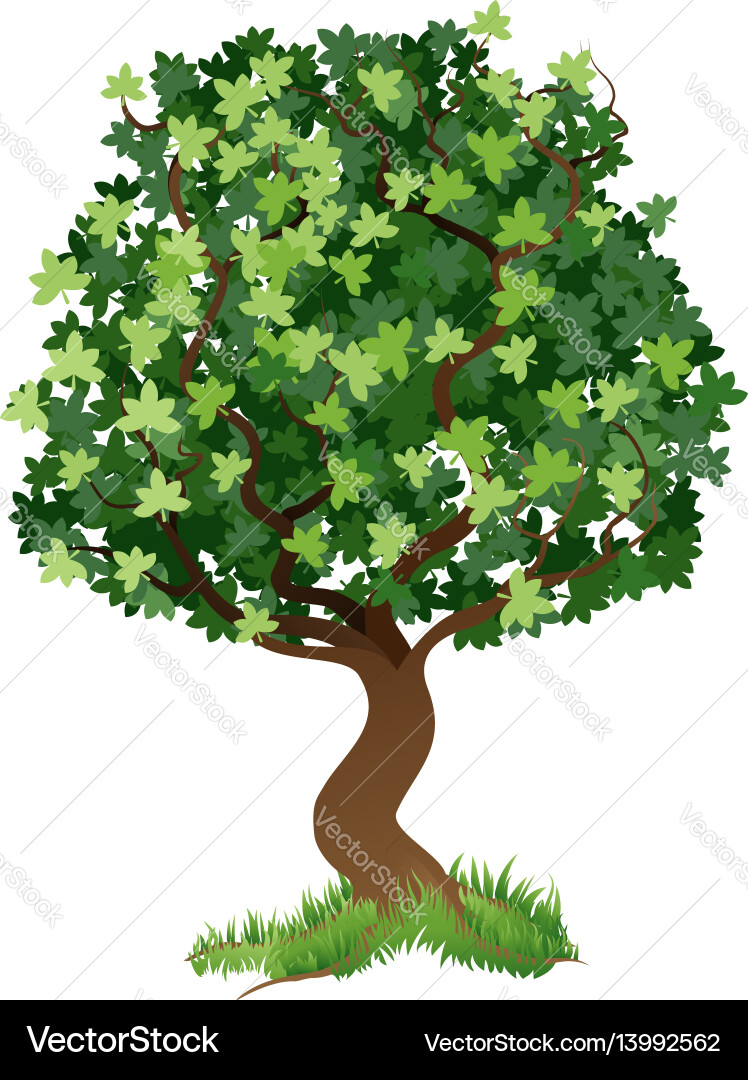 Tree Royalty Free Vector Image - VectorStock