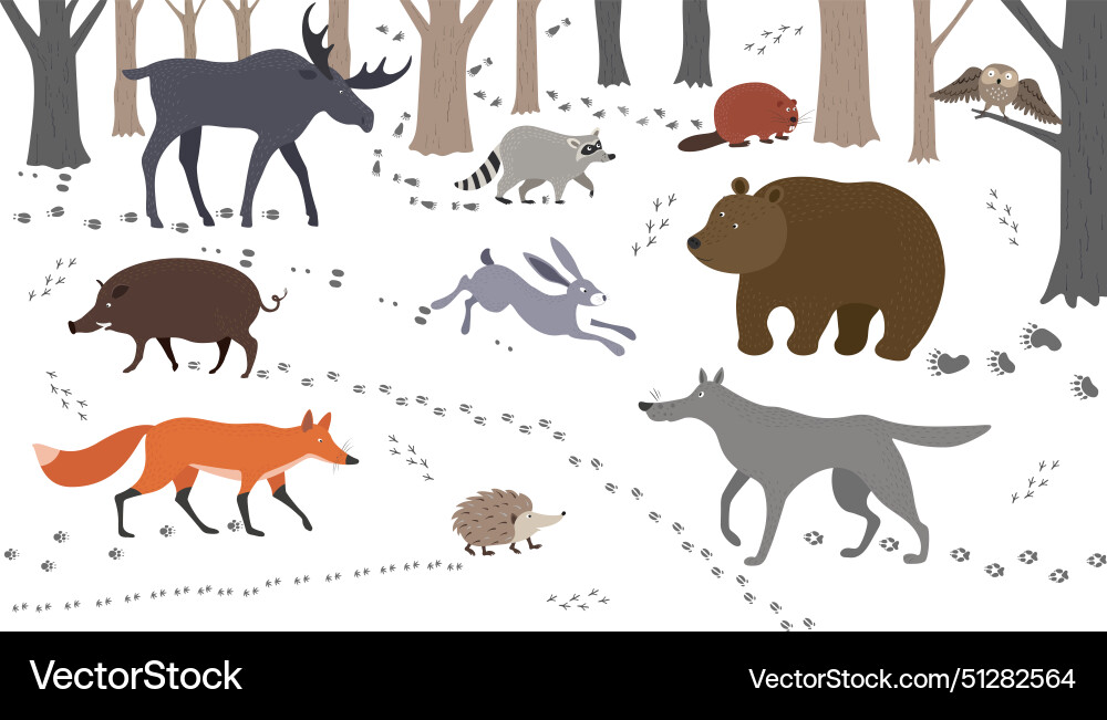 A set of forest animals and their footprints Vector Image