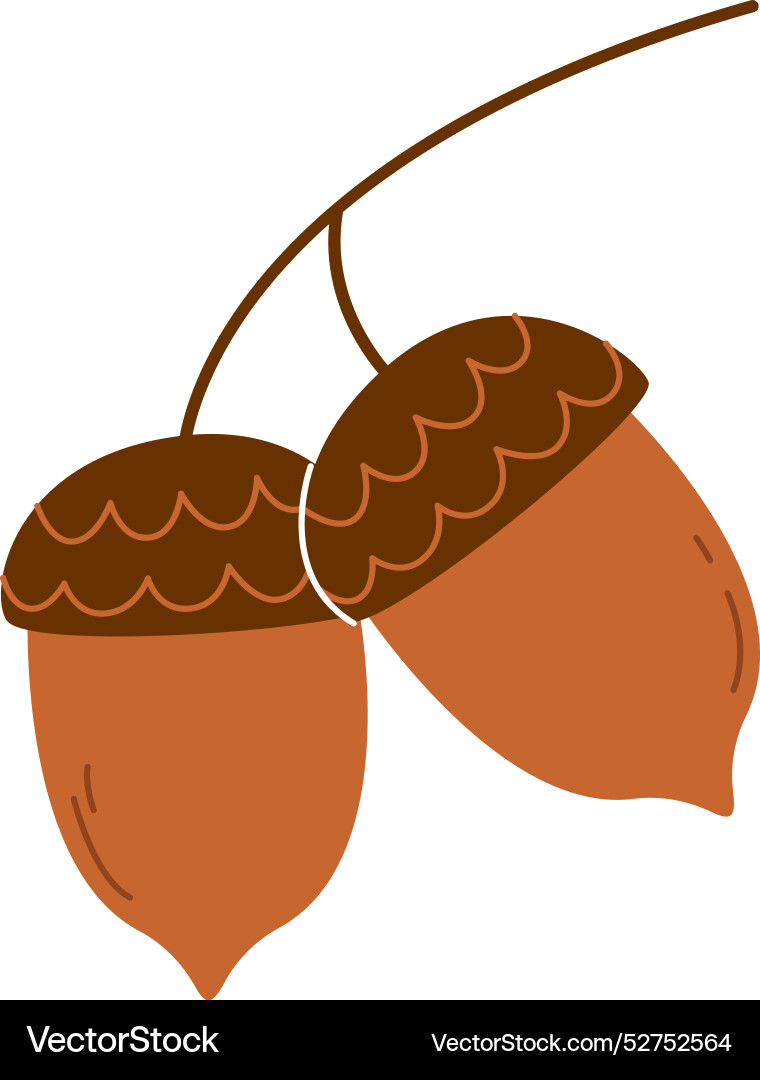 Acorns pair icon Royalty Free Vector Image - VectorStock
