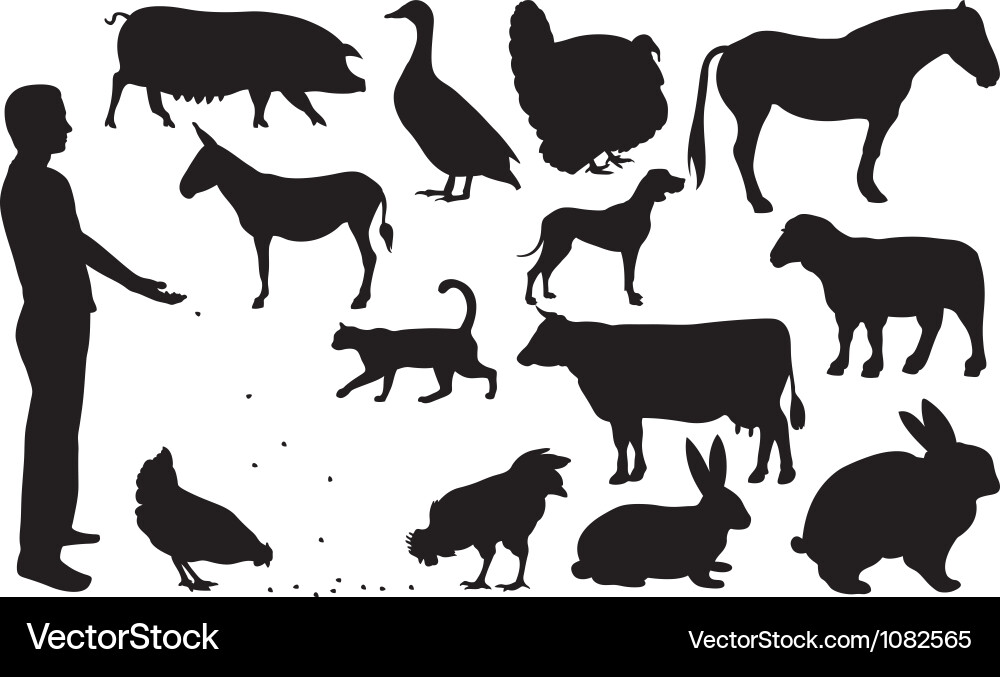 Animals Royalty Free Vector Image - VectorStock