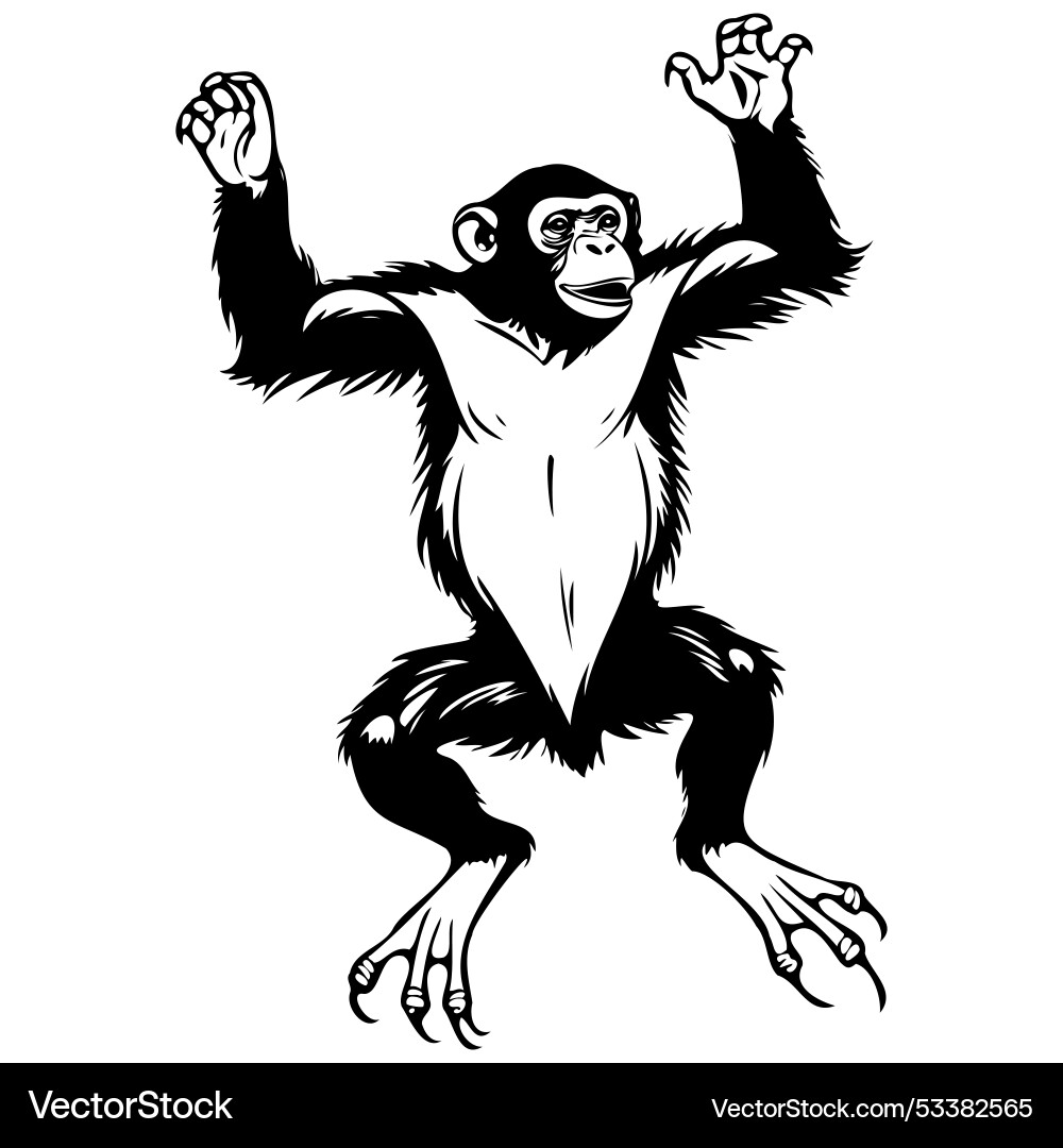 Realistic bonobo jump drawing hand Royalty Free Vector Image
