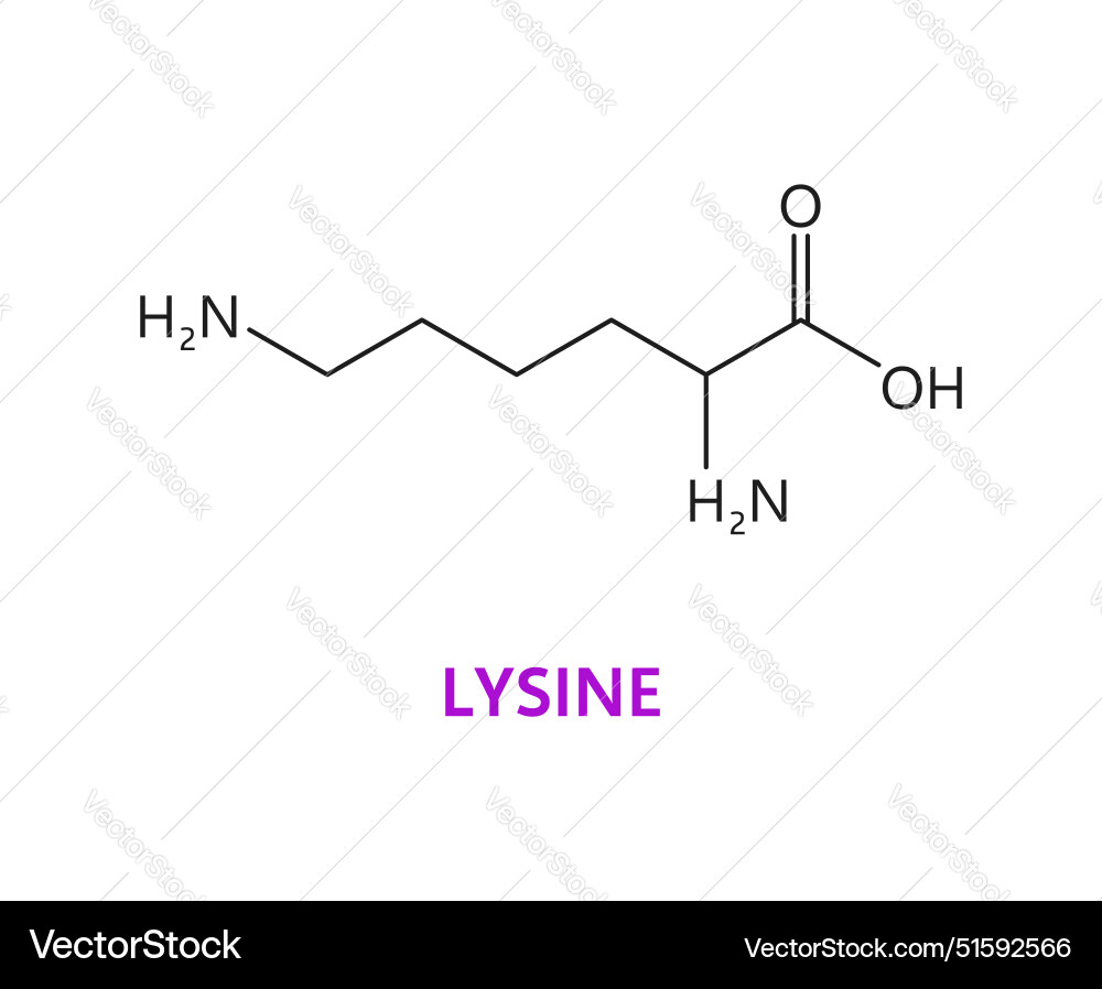Lysine amino acid chemical molecule structure Vector Image
