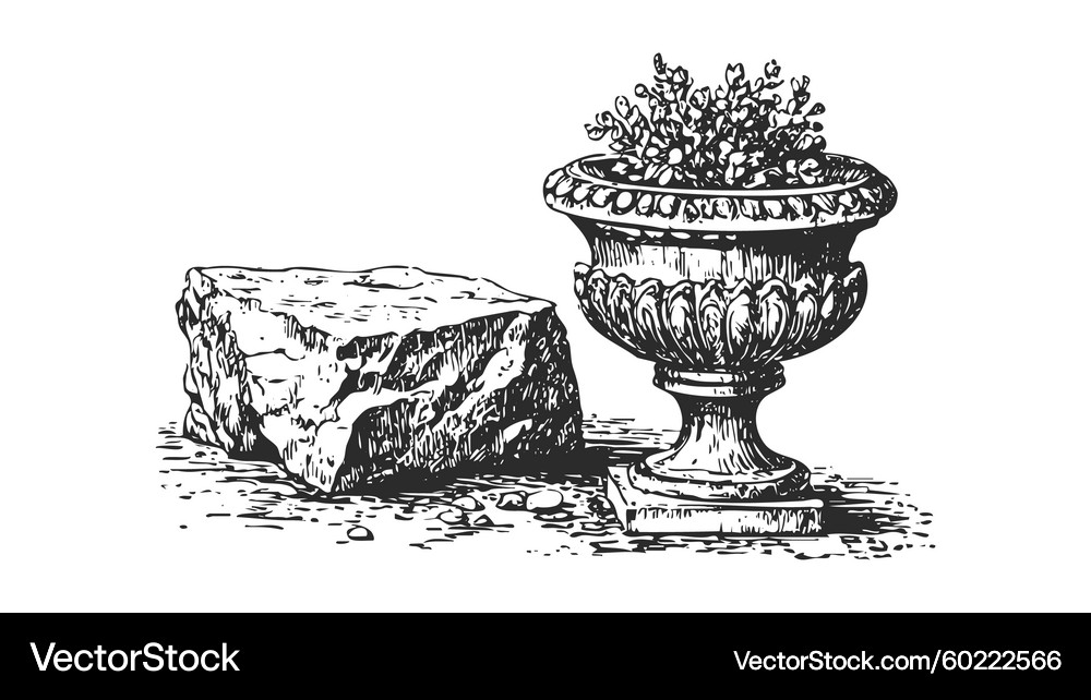 Stone Planter with Foliage - Ink Drawing Vector Image