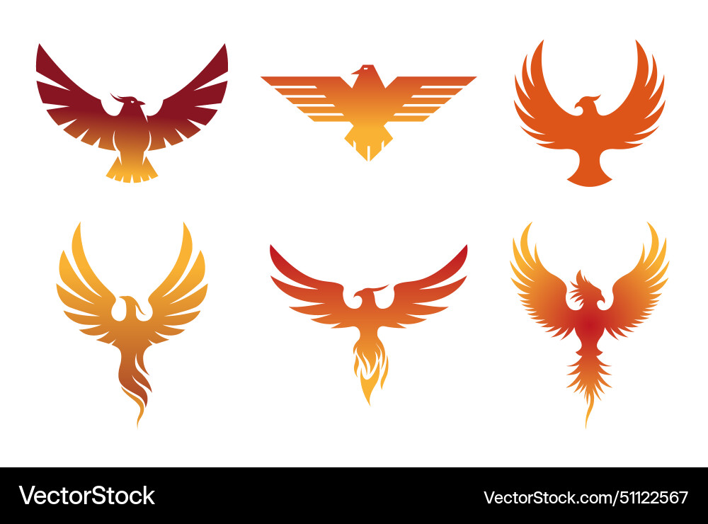 Creative pheonix birds collection set logo design Vector Image