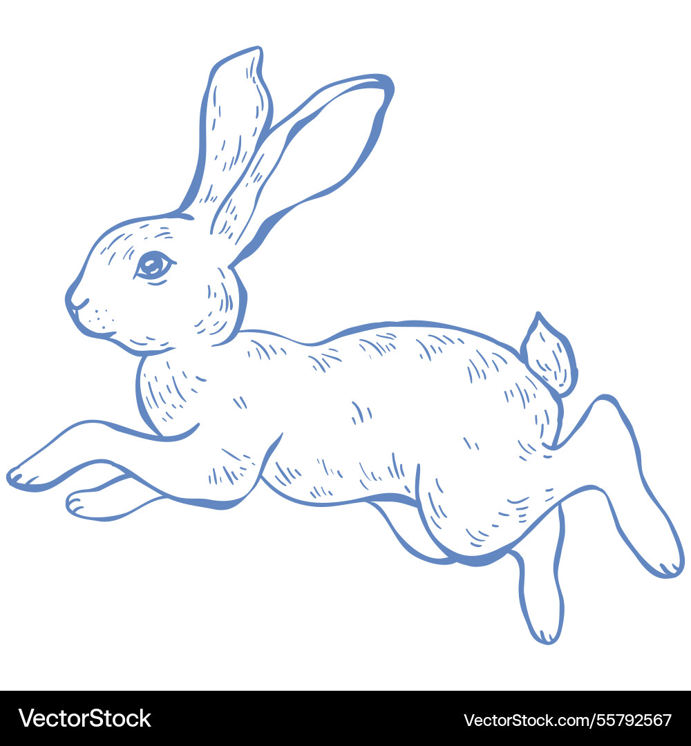 Cute line art bunny Royalty Free Vector Image - VectorStock