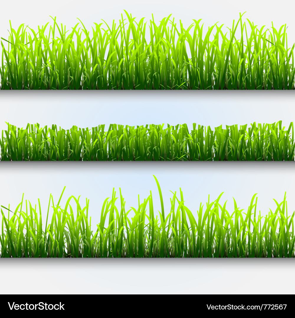 Green grass for design Royalty Free Vector Image