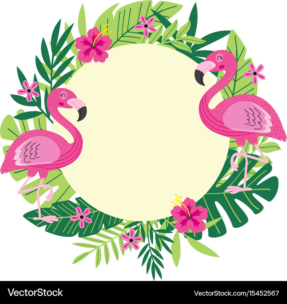 Tropical Flamingo Frame Royalty Free Vector Image