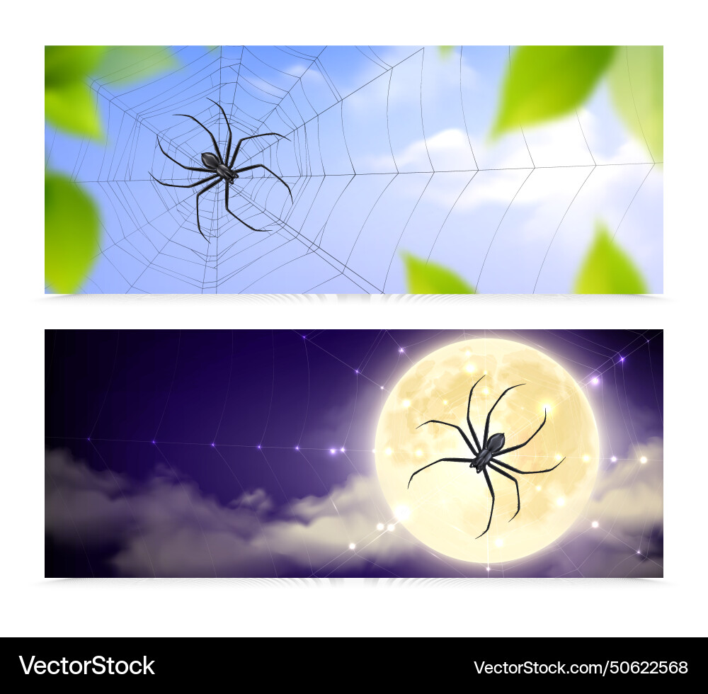 Realistic black spiders banner set Royalty Free Vector Image