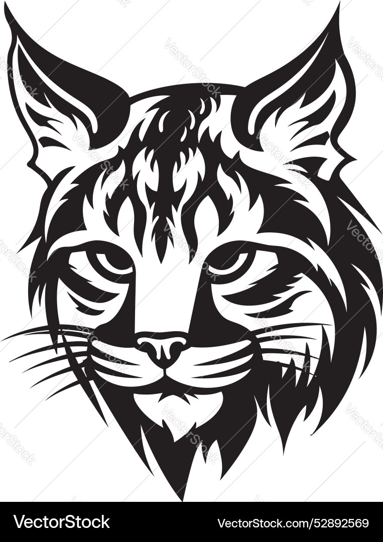 Bobcat design a wild predator animal bobcat a Vector Image