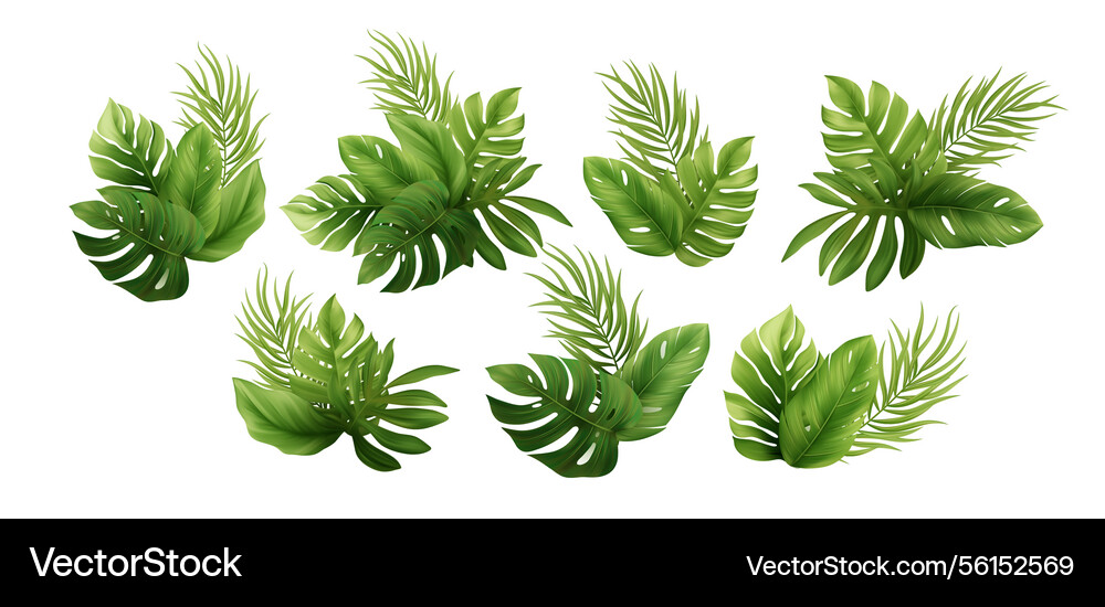 Tropical green leaves Royalty Free Vector Image