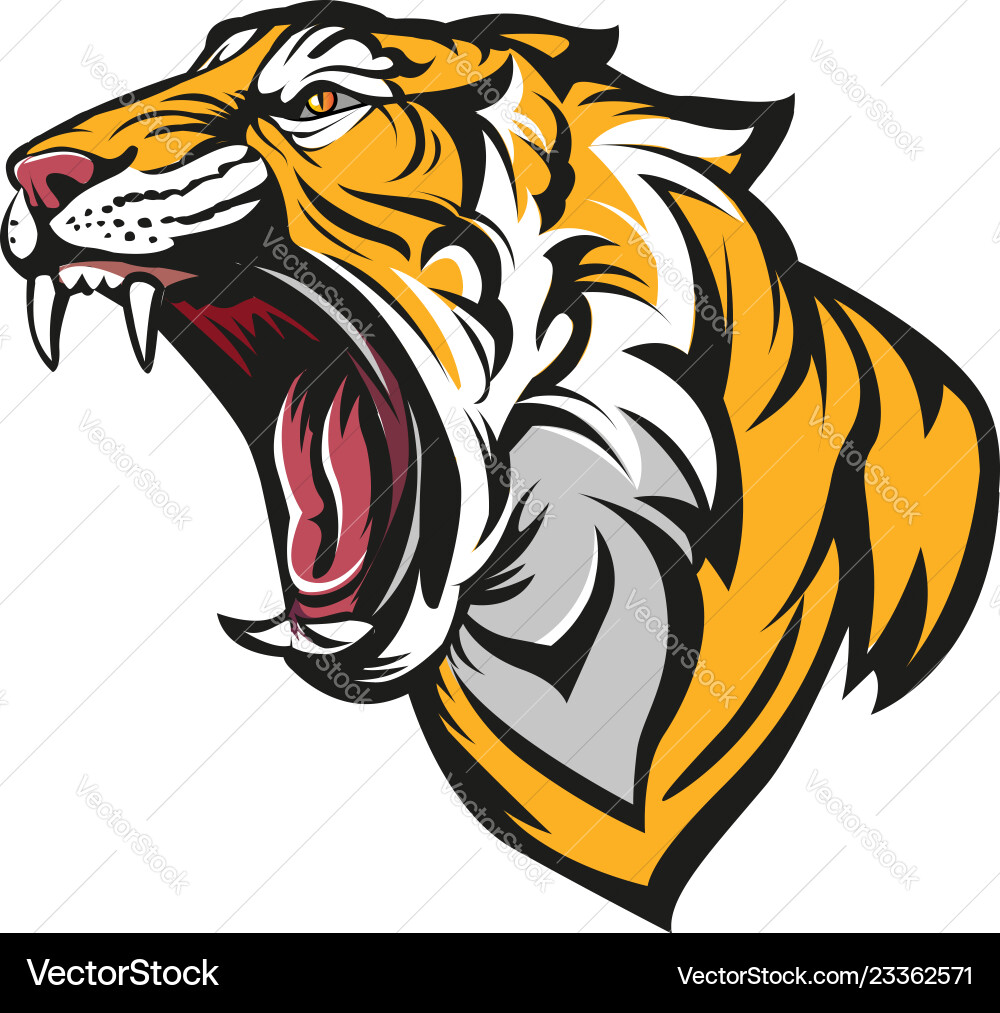 Angry tiger Royalty Free Vector Image - VectorStock