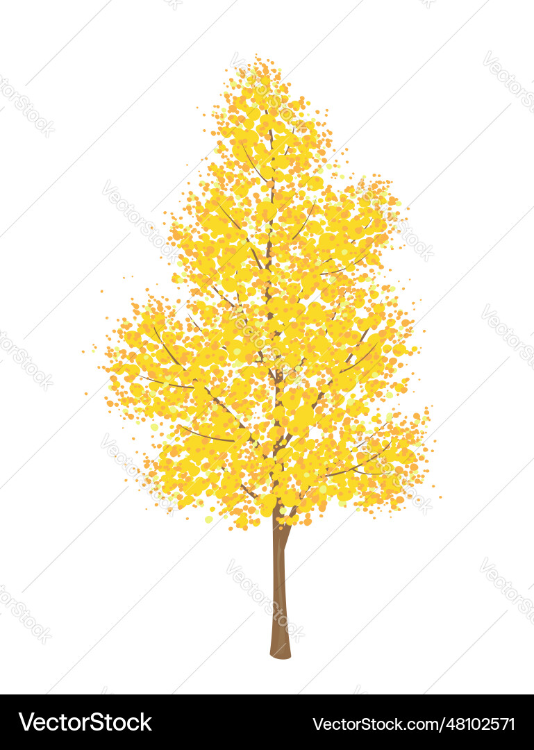 Autumn tree on white background Royalty Free Vector Image