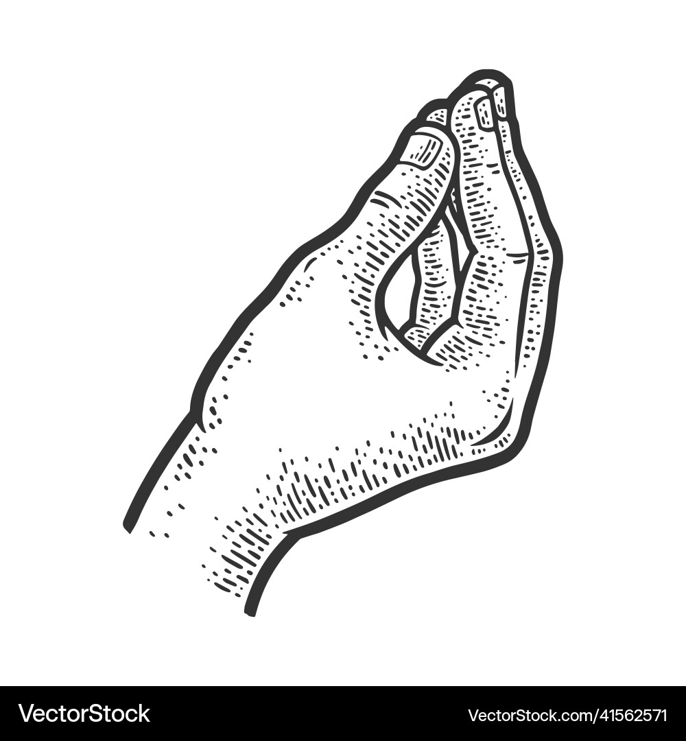 Bellissimo hand gesture sketch Royalty Free Vector Image