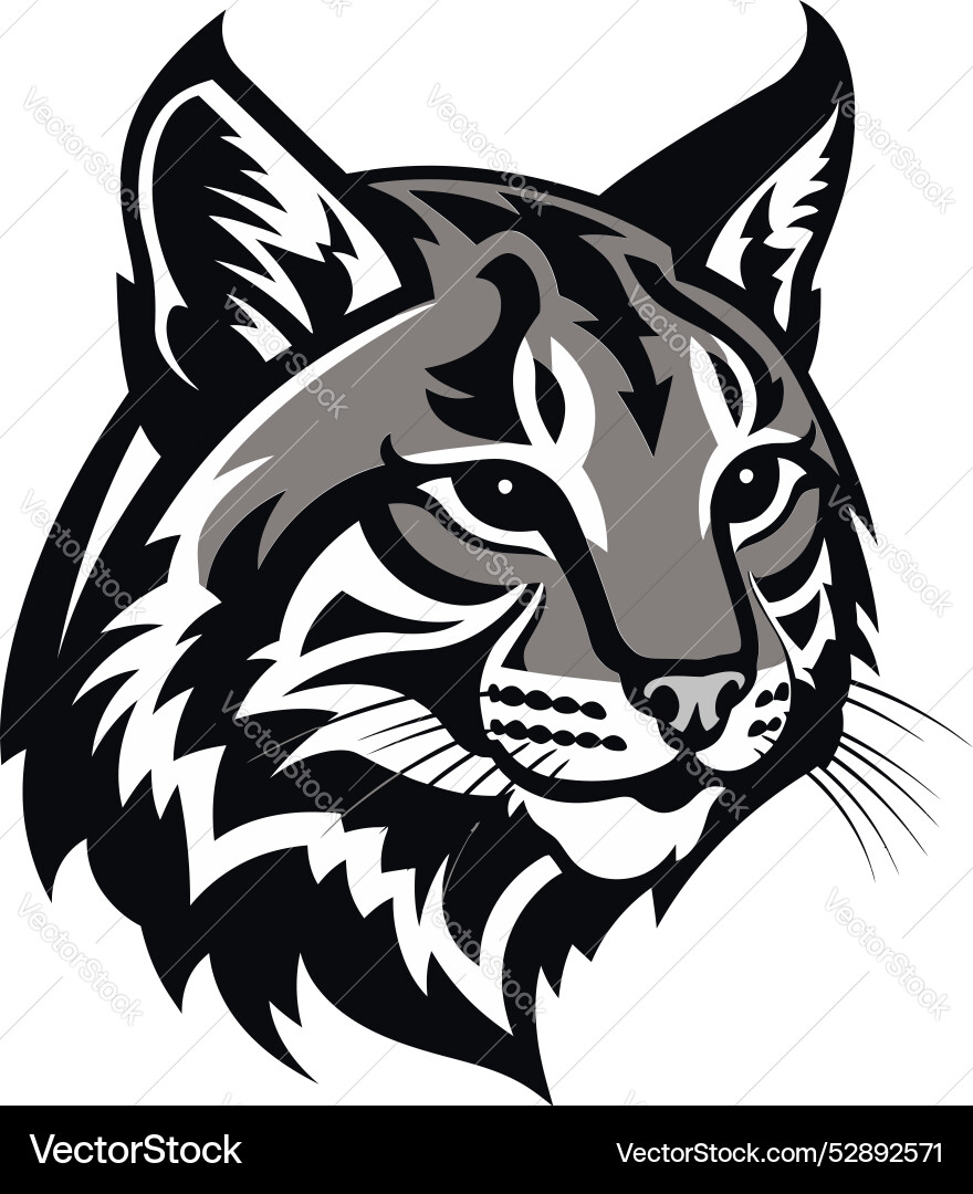 Bobcat design a wild predator animal bobcat a Vector Image