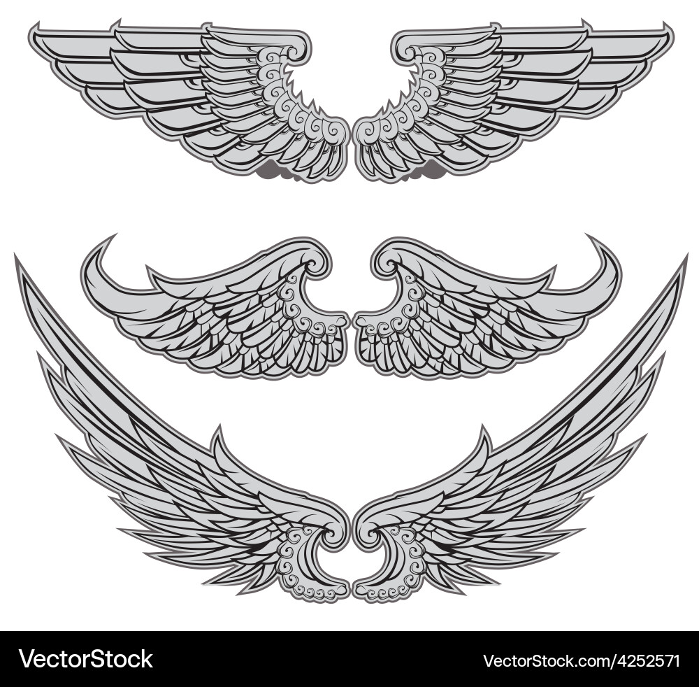 Wings set Royalty Free Vector Image - VectorStock