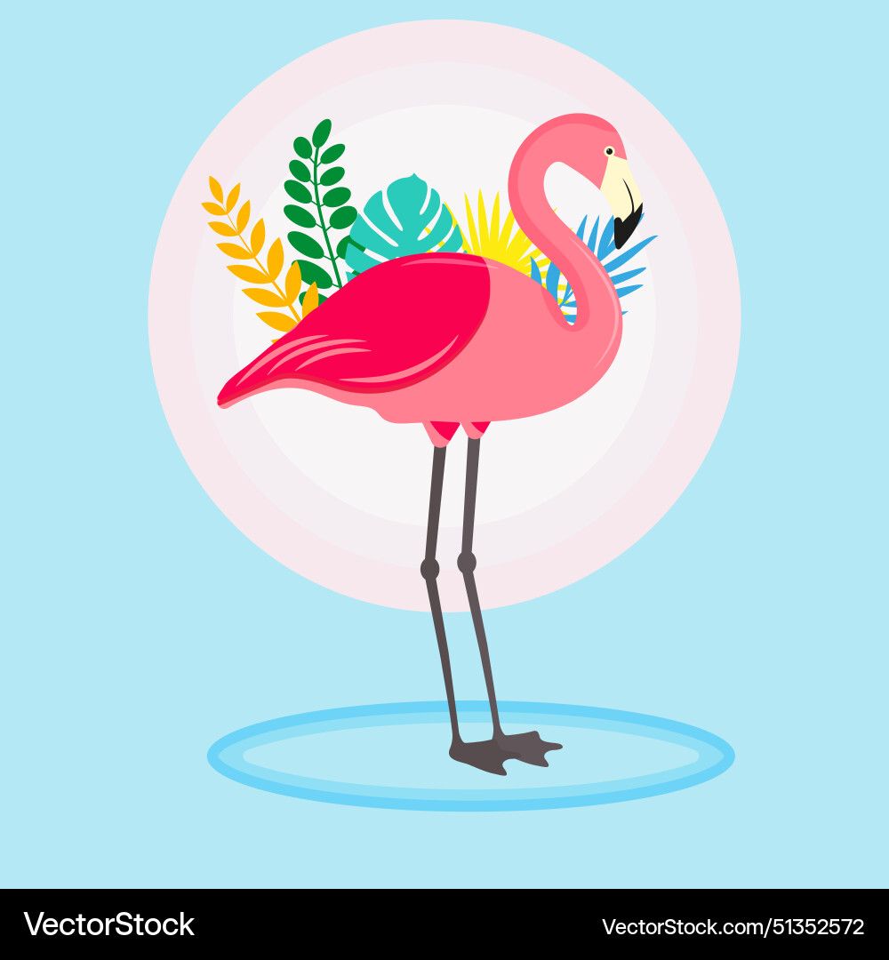 Flamingo Royalty Free Vector Image - VectorStock