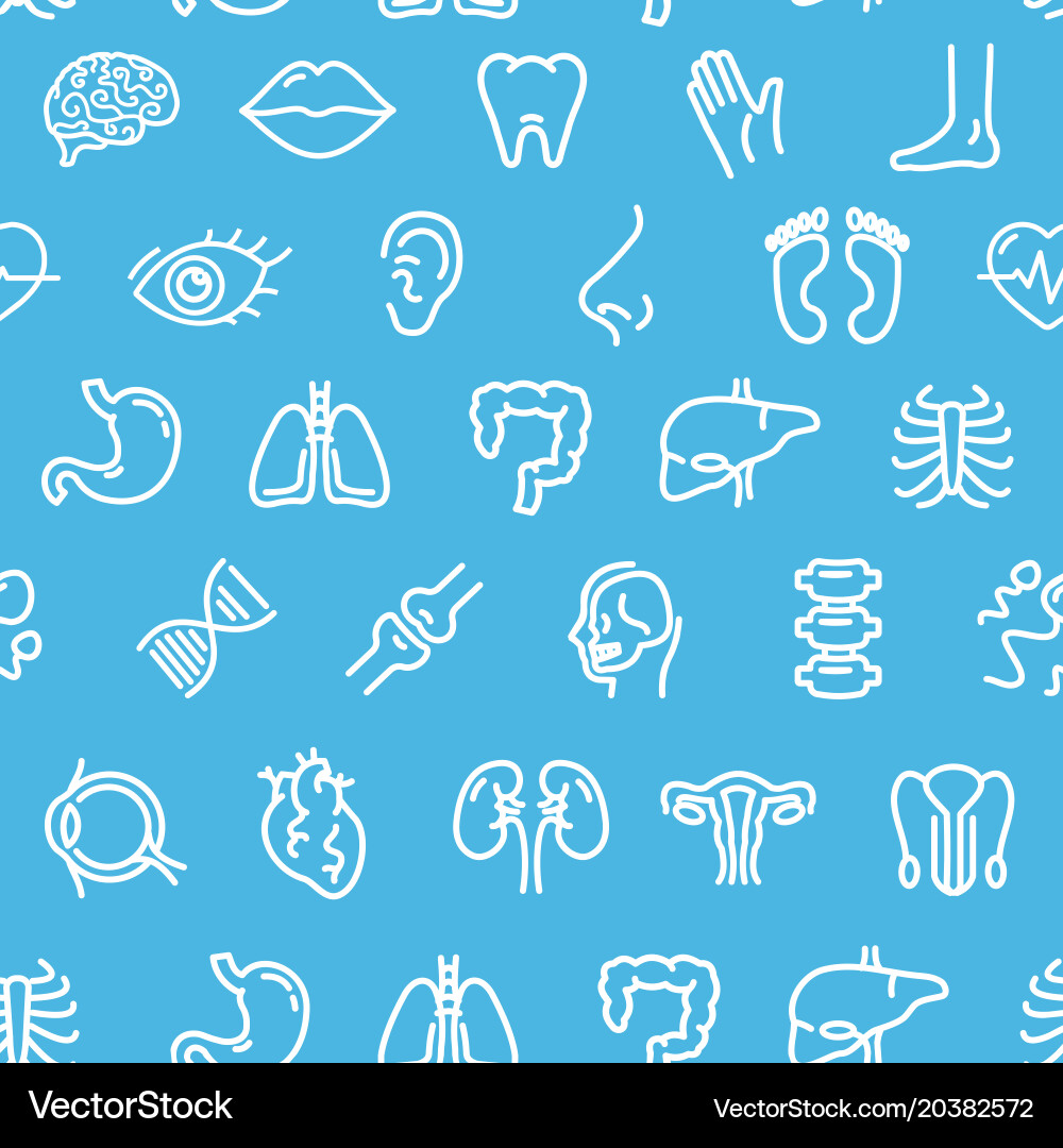 Human organs signs seamless pattern background Vector Image