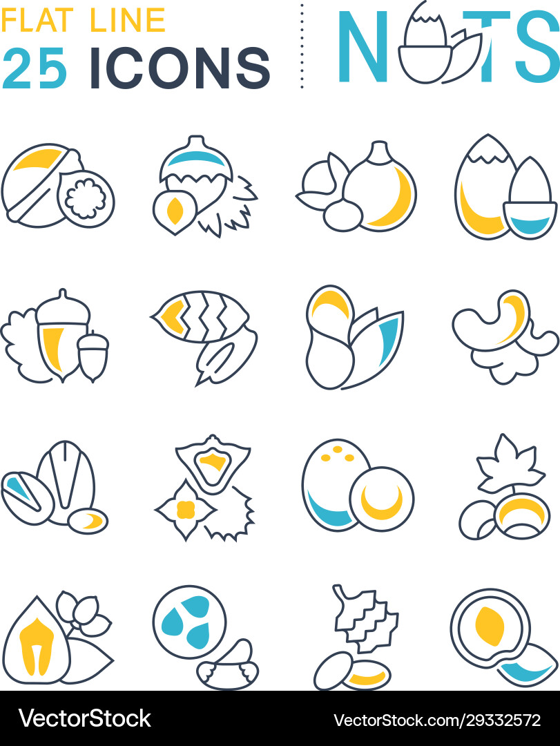 Set flat line icons nuts Royalty Free Vector Image