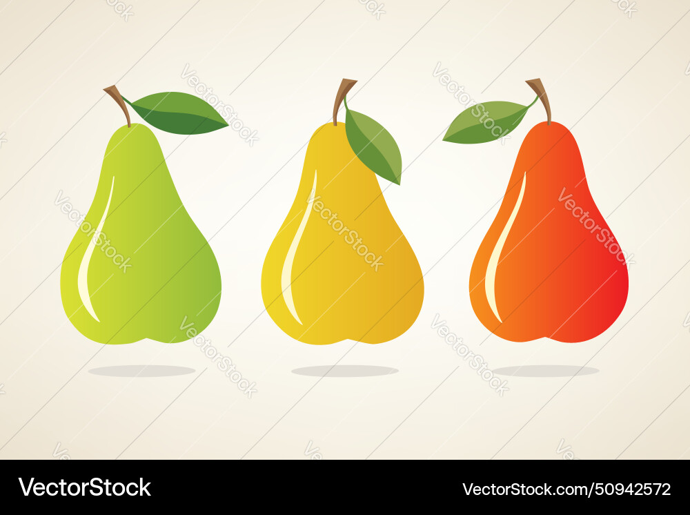 Simple pears Royalty Free Vector Image - VectorStock