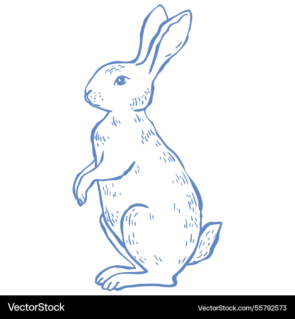 Cute line art bunny Royalty Free Vector Image - VectorStock