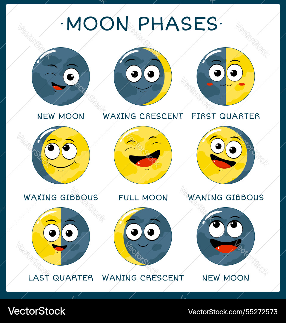 Learning moon phases phase print Royalty Free Vector Image