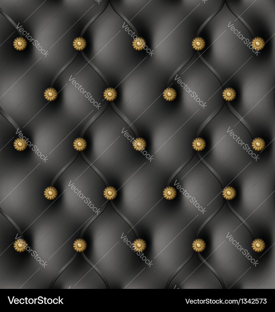 Leather upholstery Royalty Free Vector Image - VectorStock