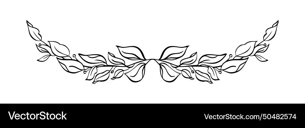 Black hand drawn laurel divider certificate Vector Image