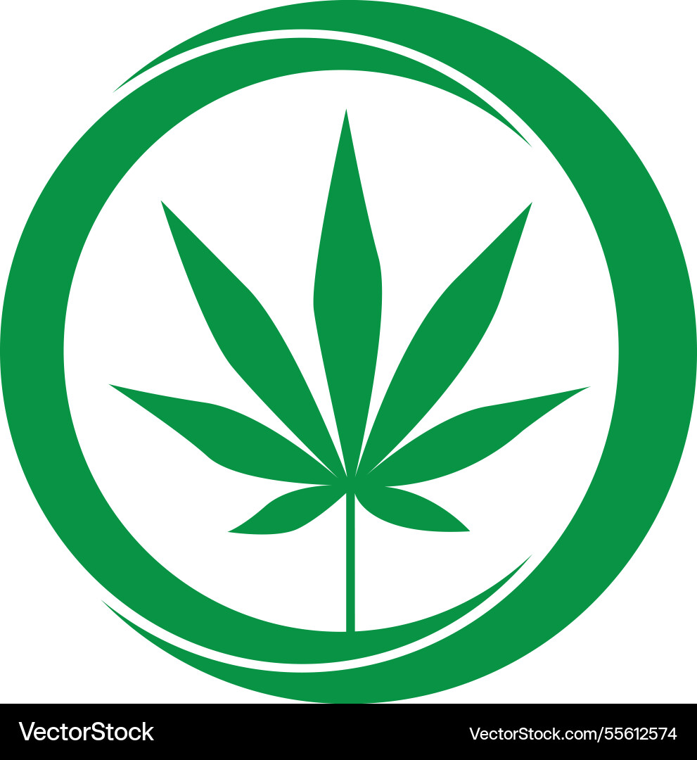 Marijuana leaf in green circle cannabis marihuana Vector Image