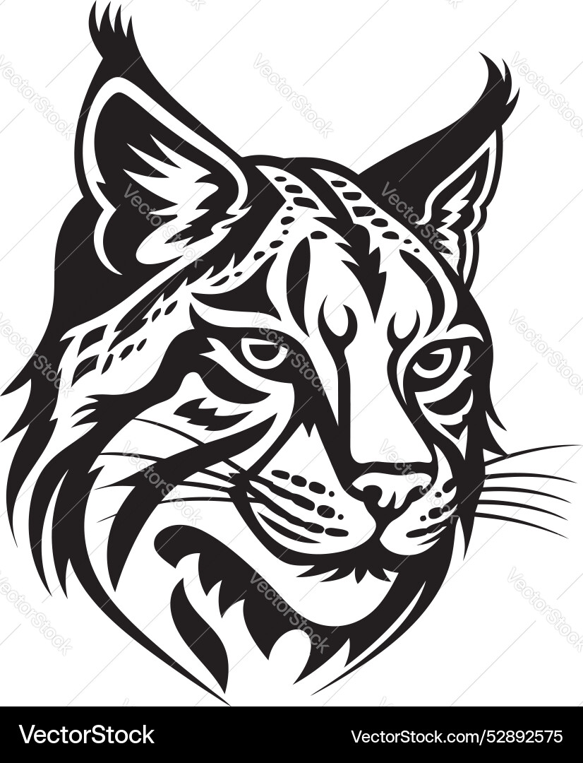 Bobcat design a wild predator animal Royalty Free Vector