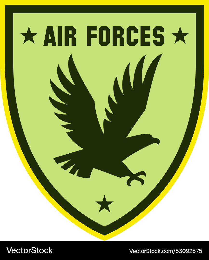 Shield insignia air forces badge green label Vector Image