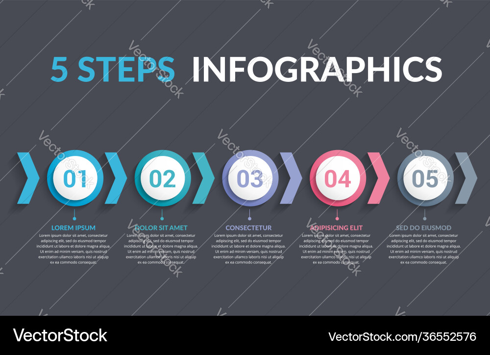 5 steps infographics Royalty Free Vector Image