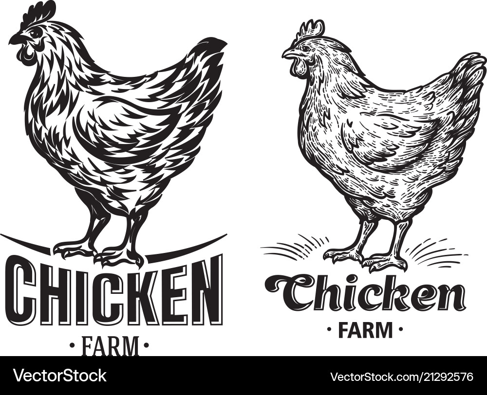 Chicken farm emblem Royalty Free Vector Image - VectorStock