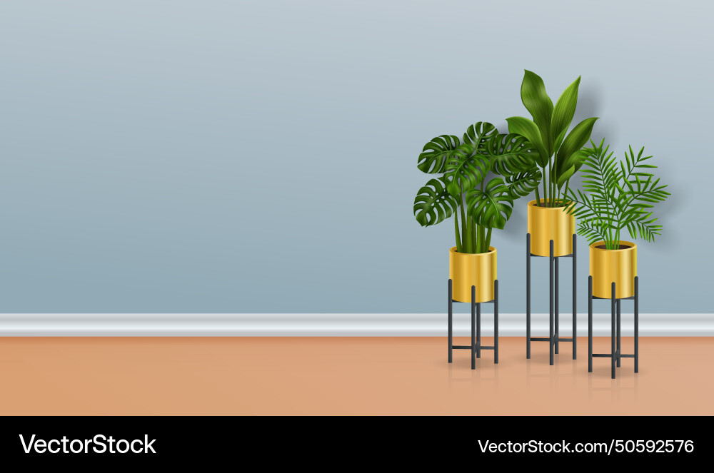 House plants realistic Royalty Free Vector Image