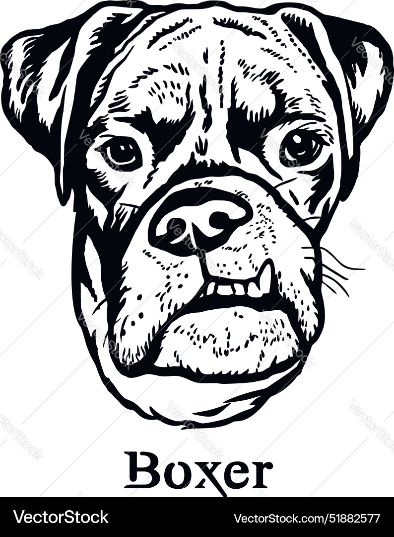 Boxer - funny dog file cut stencil Royalty Free Vector Image