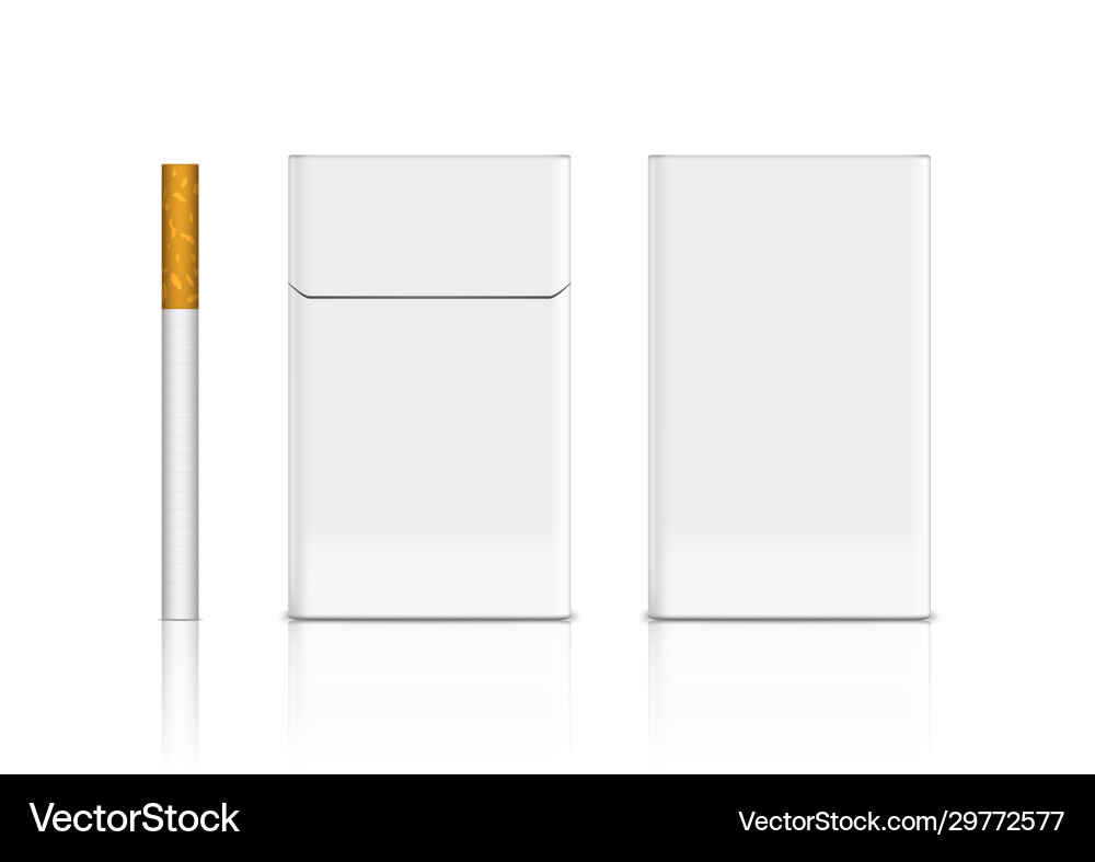 Front and back view of flip-top cigarette pack Vector Image