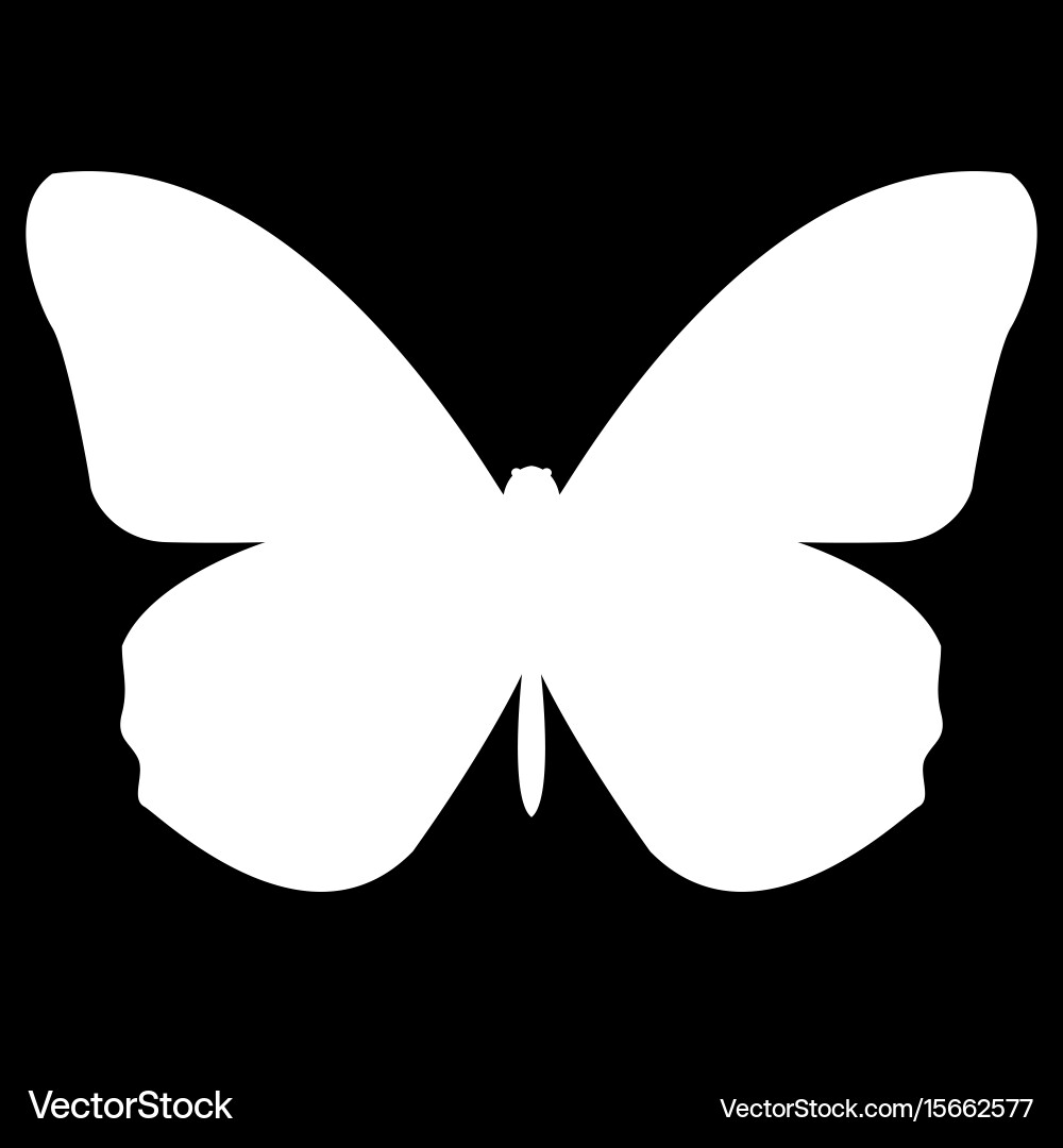 White Butterfly Icon – Royalty-Free Vector | VectorStock