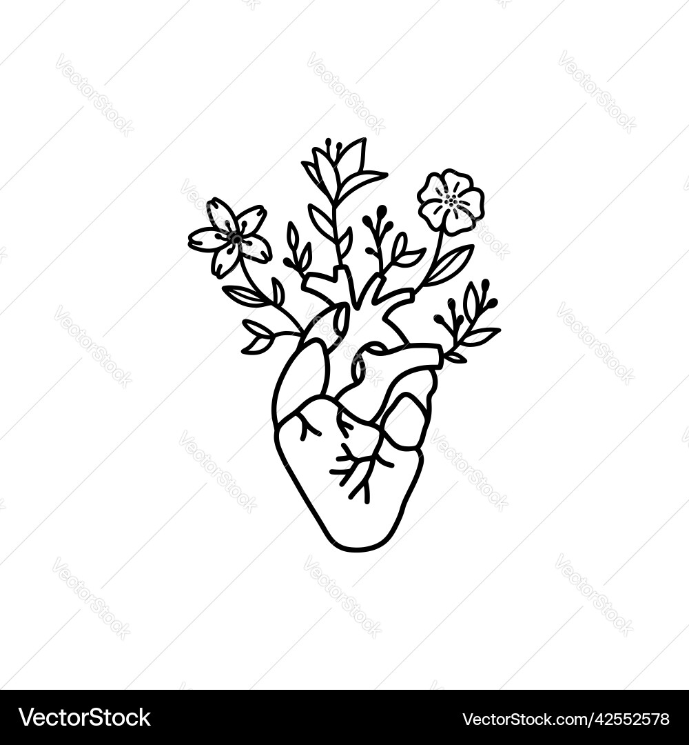 Anatomical heart with flowers Royalty Free Vector Image