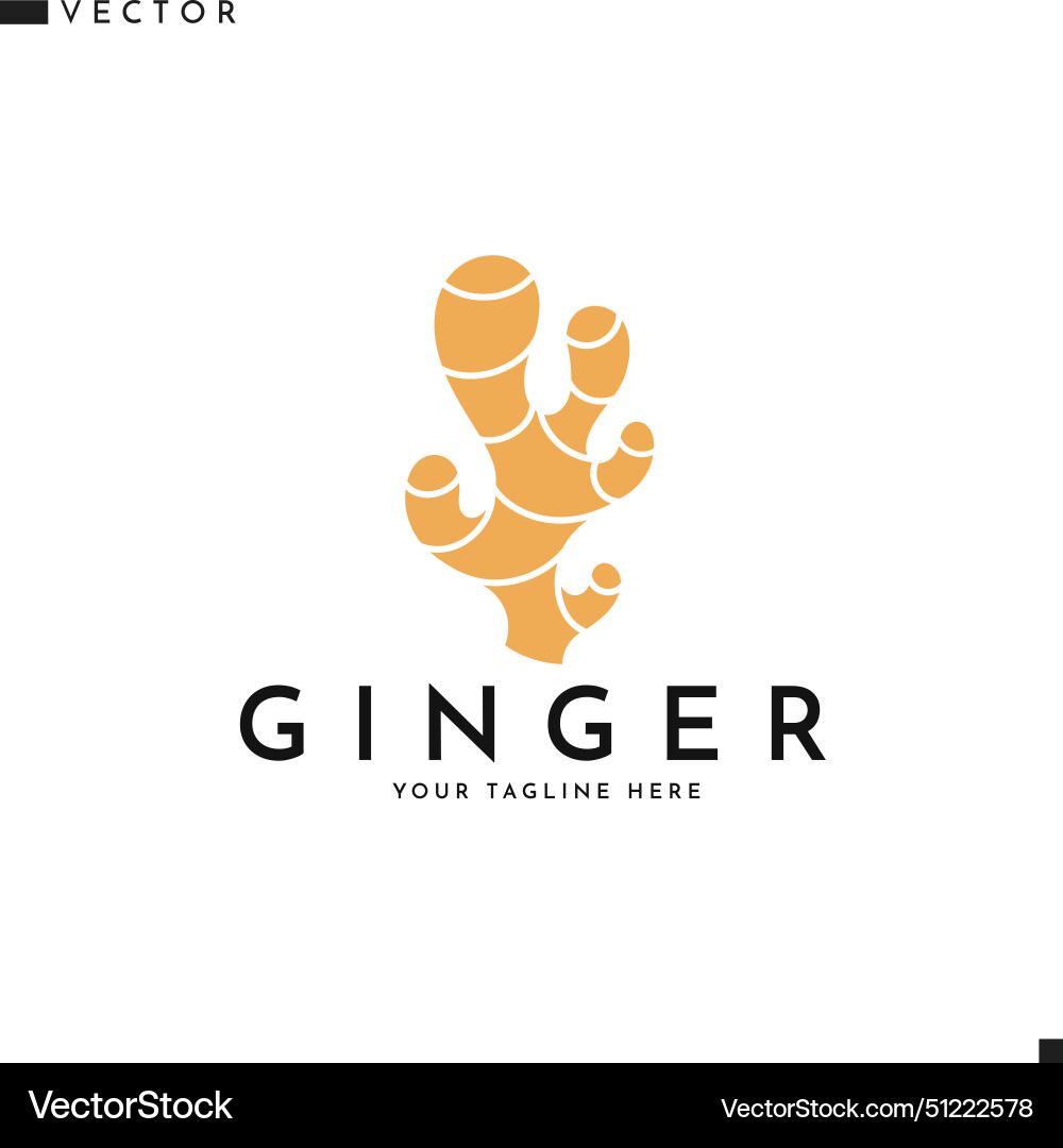 Ginger root logo Royalty Free Vector Image - VectorStock