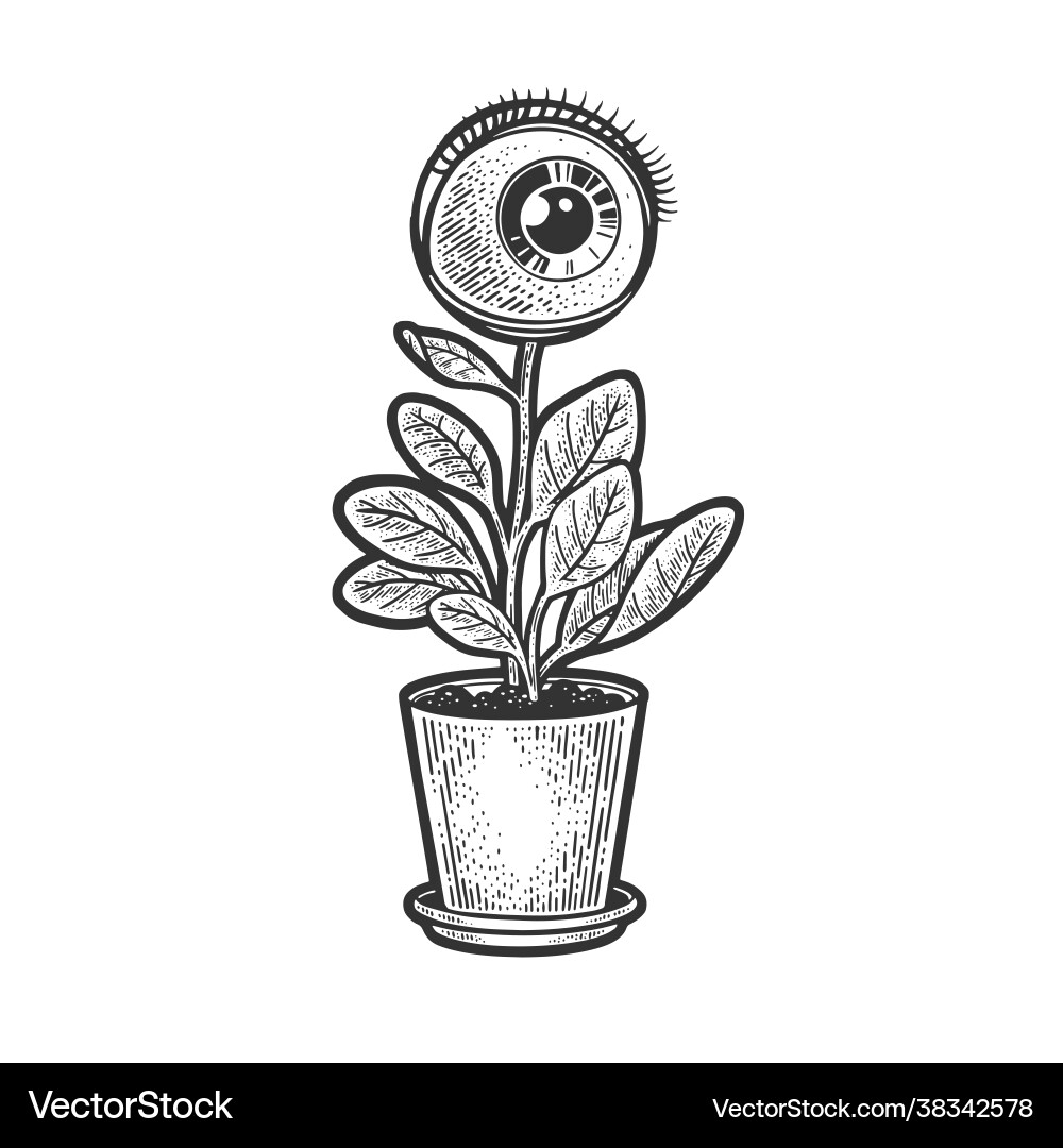 Human eye plant sketch Royalty Free Vector Image