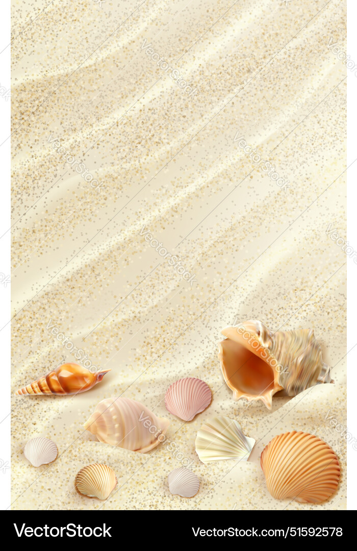 Realistic sand beach with seashells and starfish Vector Image