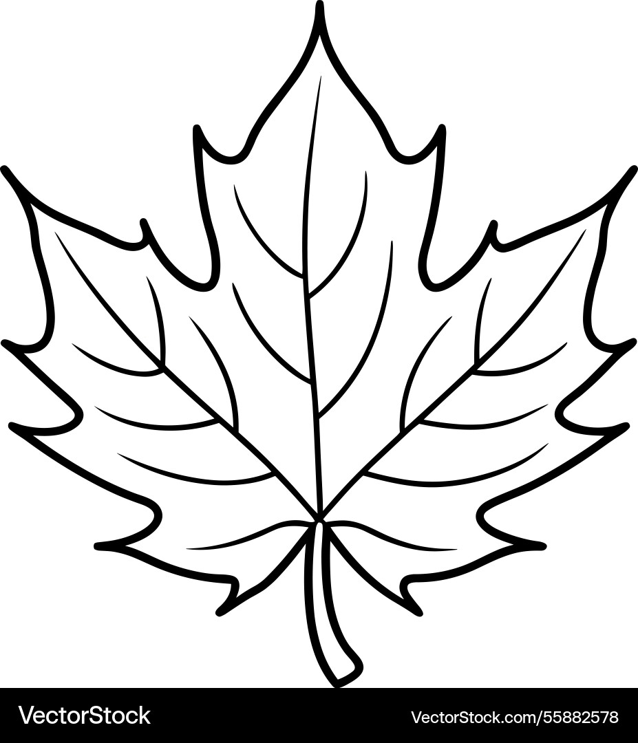 Simple maple leaf line art - black Royalty Free Vector Image