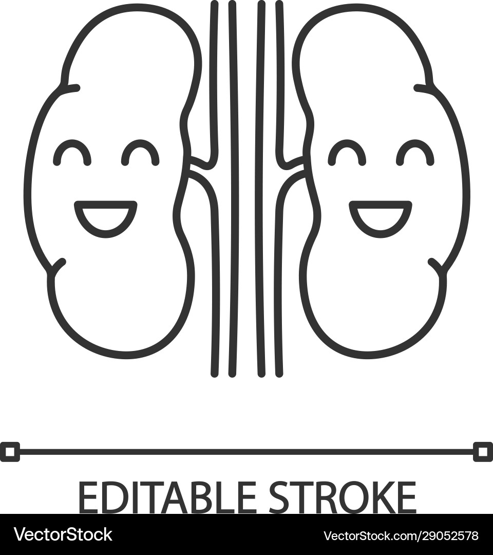 Smiling human kidneys linear icon Royalty Free Vector Image