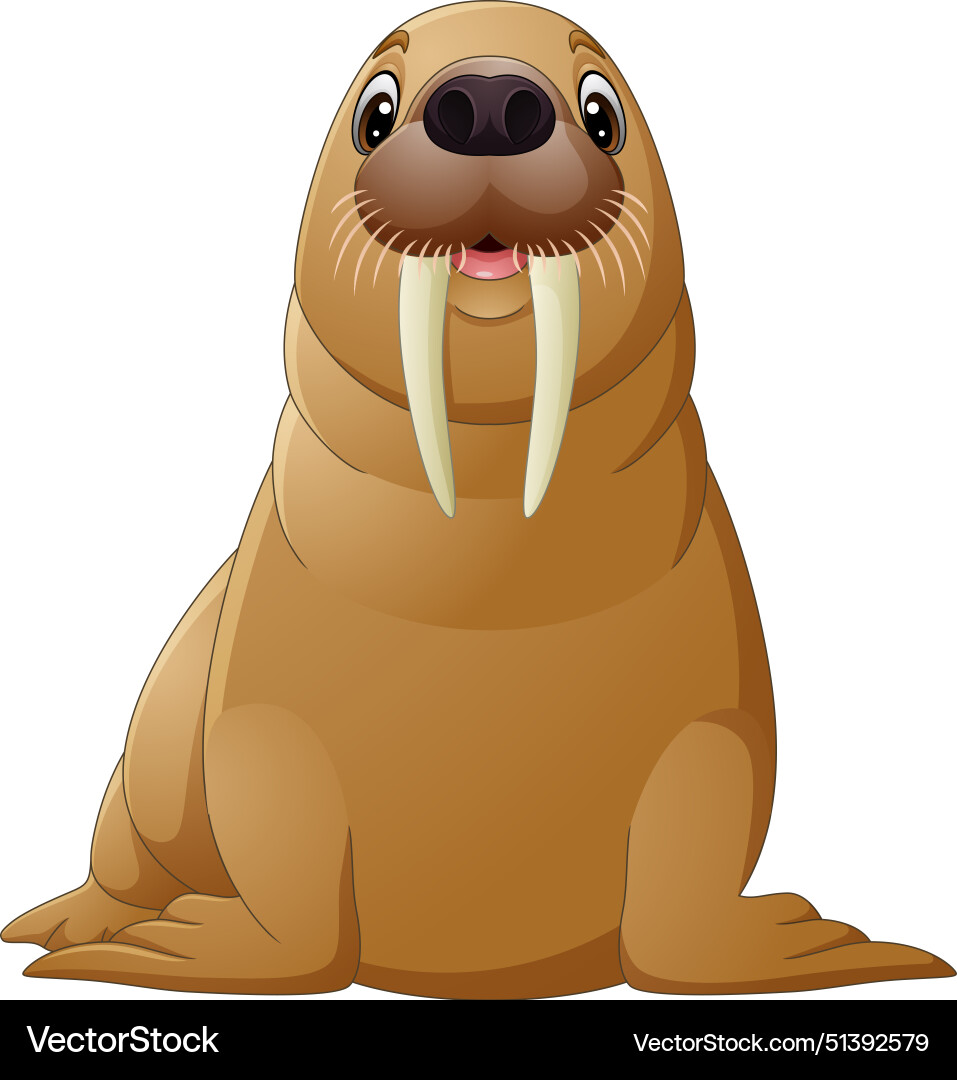 Cartoon happy walrus isolated on white background Vector Image
