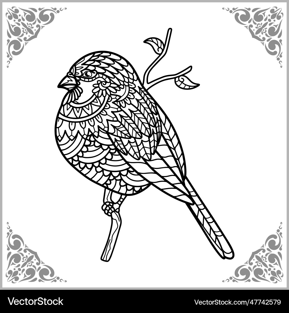 Magpie bird entangle arts isolated on white Vector Image