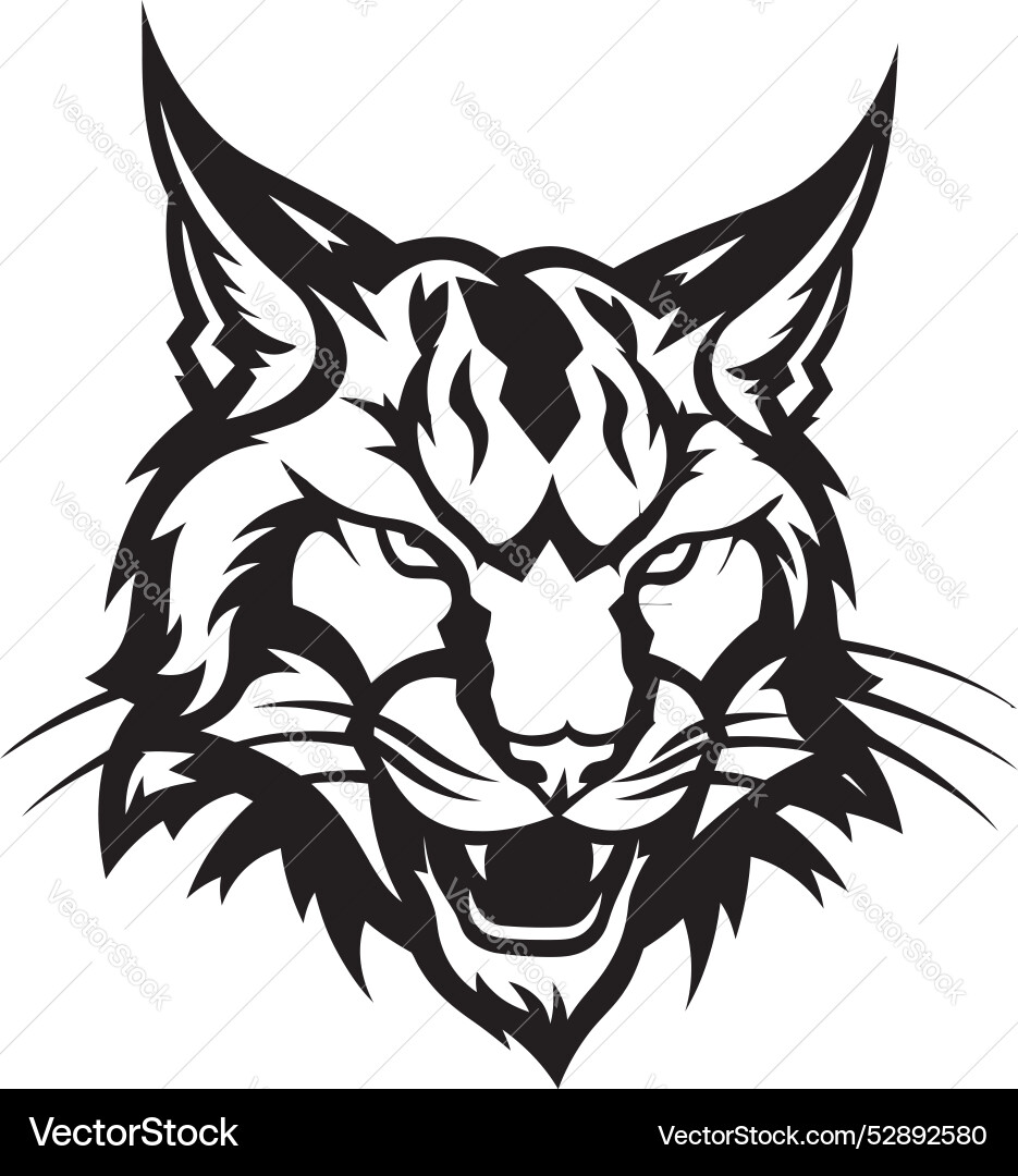 Bobcat design a wild predator animal in bobcat Vector Image