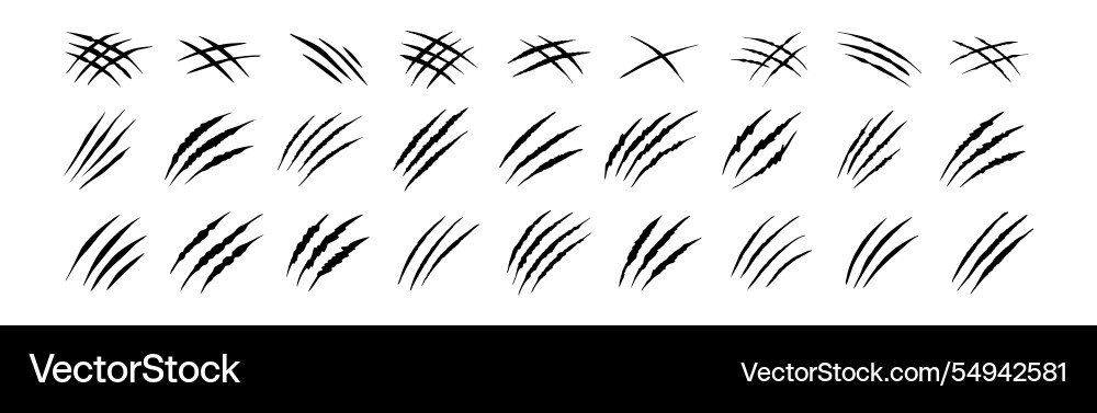 Claw scratches isolated black bear tiger claws Vector Image